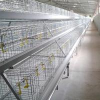 China Less Respiratory Diseases Broiler Chicken Cage Labor / Space Saving Silver Color for sale