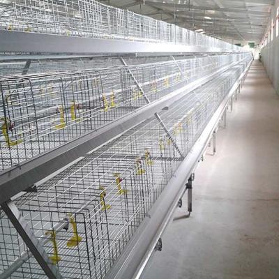 China Less Respiratory Diseases Broiler Chicken Cage Labor / Space Saving Silver Color for sale