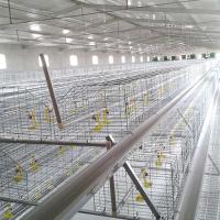 China Corrision Resistant Battery Cage For Broilers , Auto Control Hi Tech Chicken Cage for sale