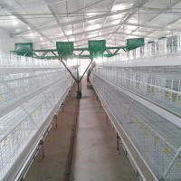 China Farming Broiler Chicken Cage A Type 3 Tiers Automatic Control Easy To Install for sale
