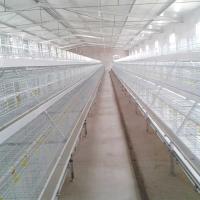 China Corrosion Resistant Poultry Layer Cage , Durable Ground Bird Feeder Cage for sale