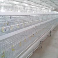 China Auto Feeding Broiler Chicken Coop Cage , Customized Design Bird Feed Cage for sale