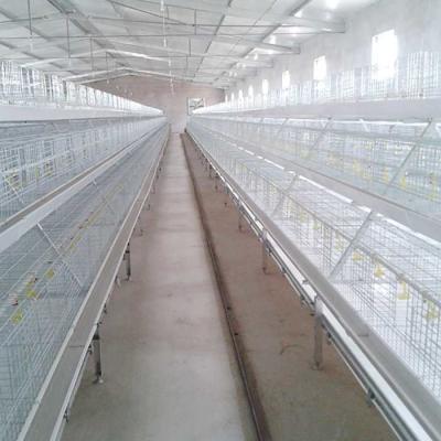 China 4 Tiers 8 Doors Broiler Chicken Cage Q235 Cold Drawn Wire Welding Large Elasticity for sale