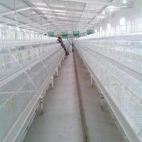 China Less Respiratory Diseases Broiler Chicken Cage Labor / Space Saving Silver Color for sale