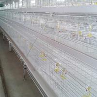 China Waterproof 380V Broiler Chicken Cage Hot Galvanized Surface 20 - 25 Years Warranty for sale