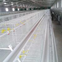 China Silver White Broiler Chicken Cage High Temperature Resistant With Feeding / EC System for sale