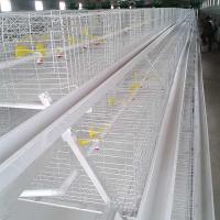 China 0.75kw Galvanized Wire Chicken Cages , Automatic Layer Poultry Farming Equipment for sale