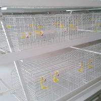China Fireproof Steel Cage For Chicken , Indoor Broiler Farm Cage Poultry House for sale