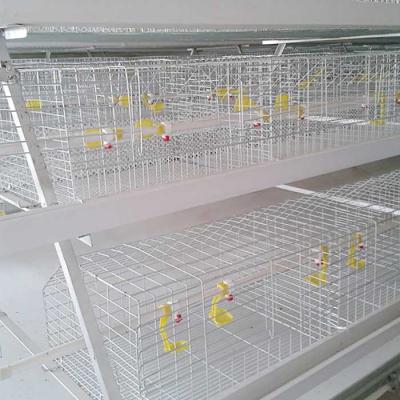 China Fireproof Steel Cage For Chicken , Indoor Broiler Farm Cage Poultry House for sale