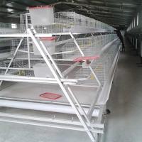 China U Shape Q235 Steel Wire Poultry Cages , 125 * 100 * 63mm Chick Rearing Cage for sale