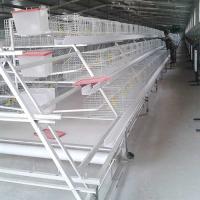 China Custom Commercial Meat Chicken Cages, Durable Chick Breeding Cage for sale