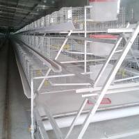 China Hot Dipped Galvanized Broiler Chicken Cage H Type 4 Tier 2 Doors for farm for sale