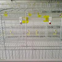 China Hot Dipped Galvanized Broiler Chicken Cage H Type 4 Tier 2 Doors for farm for sale