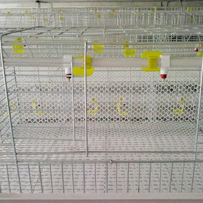 China Hot Dipped Galvanized Broiler Chicken Cage H Type 4 Tier 2 Doors for farm for sale