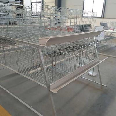 China 0.75kw 4 Tier 2 Doors Broiler Cage System , U Shape Battery Cage For Broilers for sale