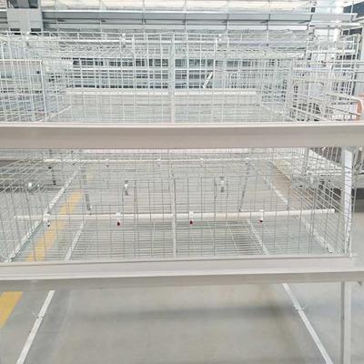 China Stable Performance Broiler Chicken Cage Easy To Clean 20 - 25 Years Warranty for sale