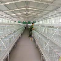 China U Shape Q235 Steel Wire Poultry Cages , 125 * 100 * 63mm Chick Rearing Cage for sale