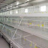 China Silver White Broiler Chicken Cage High Temperature Resistant With Feeding / EC System for sale