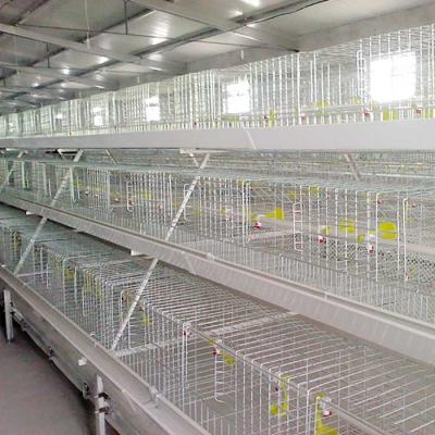 China Silver White Broiler Chicken Cage High Temperature Resistant With Feeding / EC System for sale