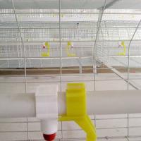 China Custom Commercial Meat Chicken Cages, Durable Chick Breeding Cage for sale