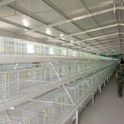 China High Efficiency Broiler Chicken Cage With Nipple Drinker IS9001 Certification for sale
