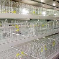 China 0.75kw Metal Chicken Cage , Automated Control Battery Operated Cages For Poultry for sale
