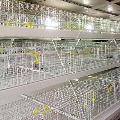 China 0.75kw Metal Chicken Cage , Automated Control Battery Operated Cages For Poultry for sale