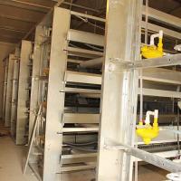 China H Type 4 Tier Modern Poultry Cages , 120CM Easy To Install Building Chicken Cages for sale