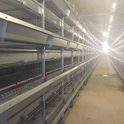 China Manual Feeding System 45 Days Chicken Cage , 3 Tiers Chick Rearing Cage for sale