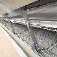 China 380V Cage House Poultry , Automatic Layer Poultry Equipment Long Life Span for sale