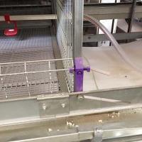 China Commercial Modern Baby Chick Cage Large Capacity 8 Doors Customization Service for sale