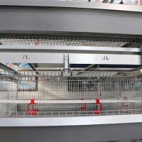 China Commercial Modern Baby Chick Cage Large Capacity 8 Doors Customization Service for sale