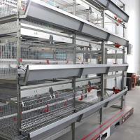 China Manual Feeding System Poultry Chicken Cage For Baby Chick 20 Years Life Span for sale