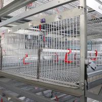China Durable A Type Baby Chick Cage Low Death Rate With Manual Feeding System for sale