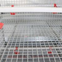 China Battery Poultry Farming Equipment , Durable H Type 192 Baby Chicken Cage for sale
