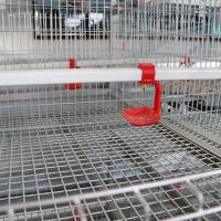 China Durable A Type Baby Chick Cage Low Death Rate With Manual Feeding System for sale
