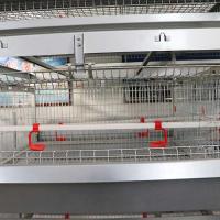 China Durable A Type Baby Chick Cage Low Death Rate With Manual Feeding System for sale