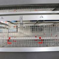 China Manual Feeding System Poultry Chicken Cage For Baby Chick 20 Years Life Span for sale