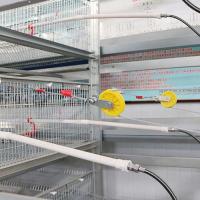 China 195 * 50 * 35CM Baby Chick Cage , Automatic Battery Cage System Low Disease for sale