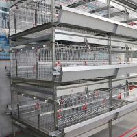 China Low Disease Baby Chick Cage 195 * 50 * 35CM Size 20 Years Life Span Free Design for sale