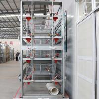 China Manual Feeding System 45 Days Chicken Cage , 3 Tiers Chick Rearing Cage for sale