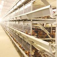 China 195 * 50 * 35CM Baby Chick Cage , Automatic Battery Cage System Low Disease for sale