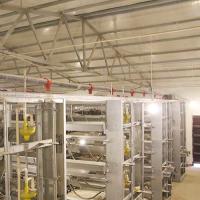 China 120 * 120 * 59cm H Type Battery Cages , Labor Saving Galvanized Chicken Cage for sale