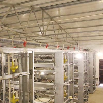 China 120 * 120 * 59cm H Type Battery Cages , Labor Saving Galvanized Chicken Cage for sale