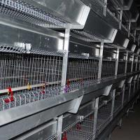 China Large Farm Powerful Baby Chick Cage Silver White Color 1.5 Years Warranty for sale