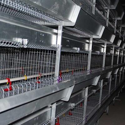 China Large Farm Powerful Baby Chick Cage Silver White Color 1.5 Years Warranty for sale