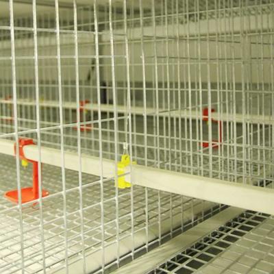 China H Type Low Death Rate Baby Chick Cage 4 Tiers For Large Scale Farm 300CM² Area for sale