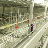 China Battery Power Baby Chick Cage Low Disease Land Saving 1.5 Years Warranty for sale