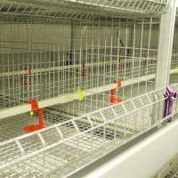 China Fire Resistant Chicken Steel Cage , 198 Birds Chick Cage With Heat Lamp for sale