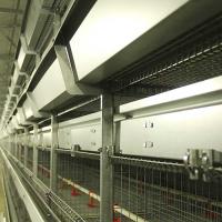 China Poultry Farming Chicken Cage Wire , High Temp Resistant High Tech Chicken Cage for sale